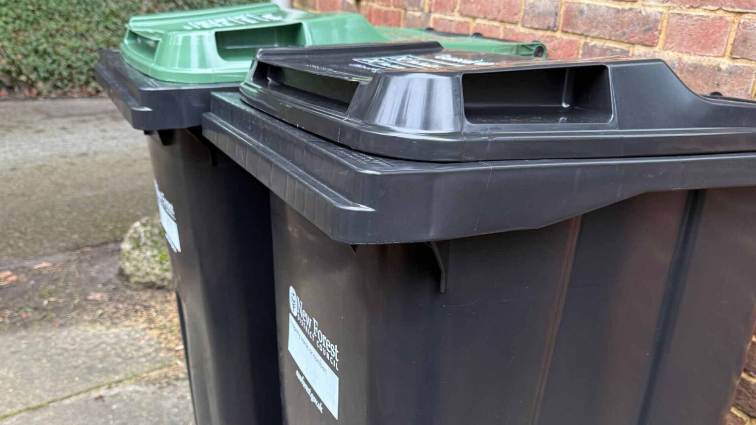 New Forest Council confirms dates for new bin collection - Dorset View